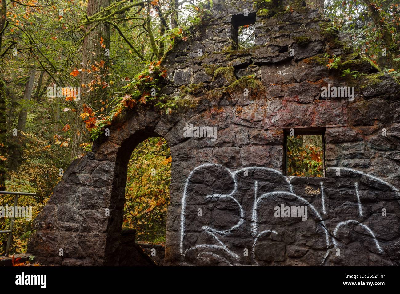 Witch House, Forest Park, Portland, Oregon Stock Photo - Alamy