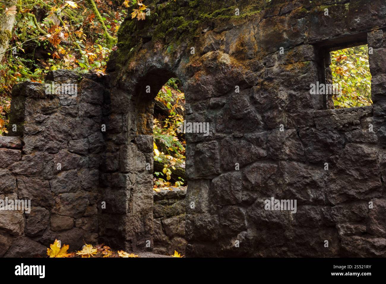 Witch House, Forest Park, Portland, Oregon Stock Photo - Alamy