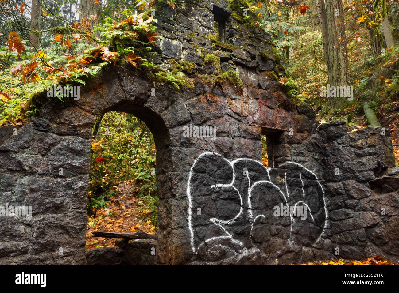 Witch House, Forest Park, Portland, Oregon Stock Photo - Alamy