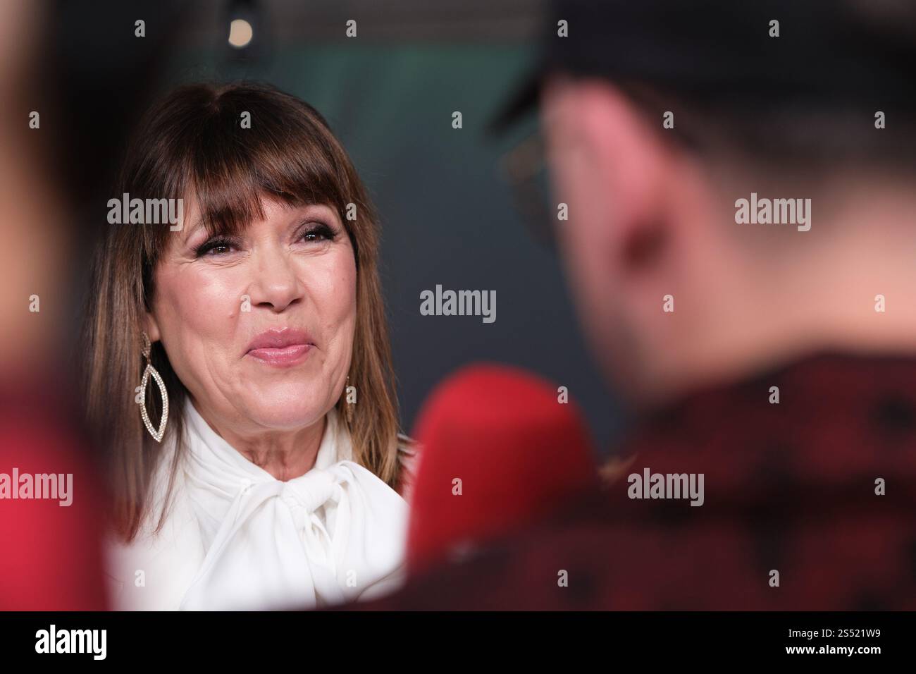 Madrid, Spain. 13th Jan, 2025. Mavel Lozano attends the candidates to ...