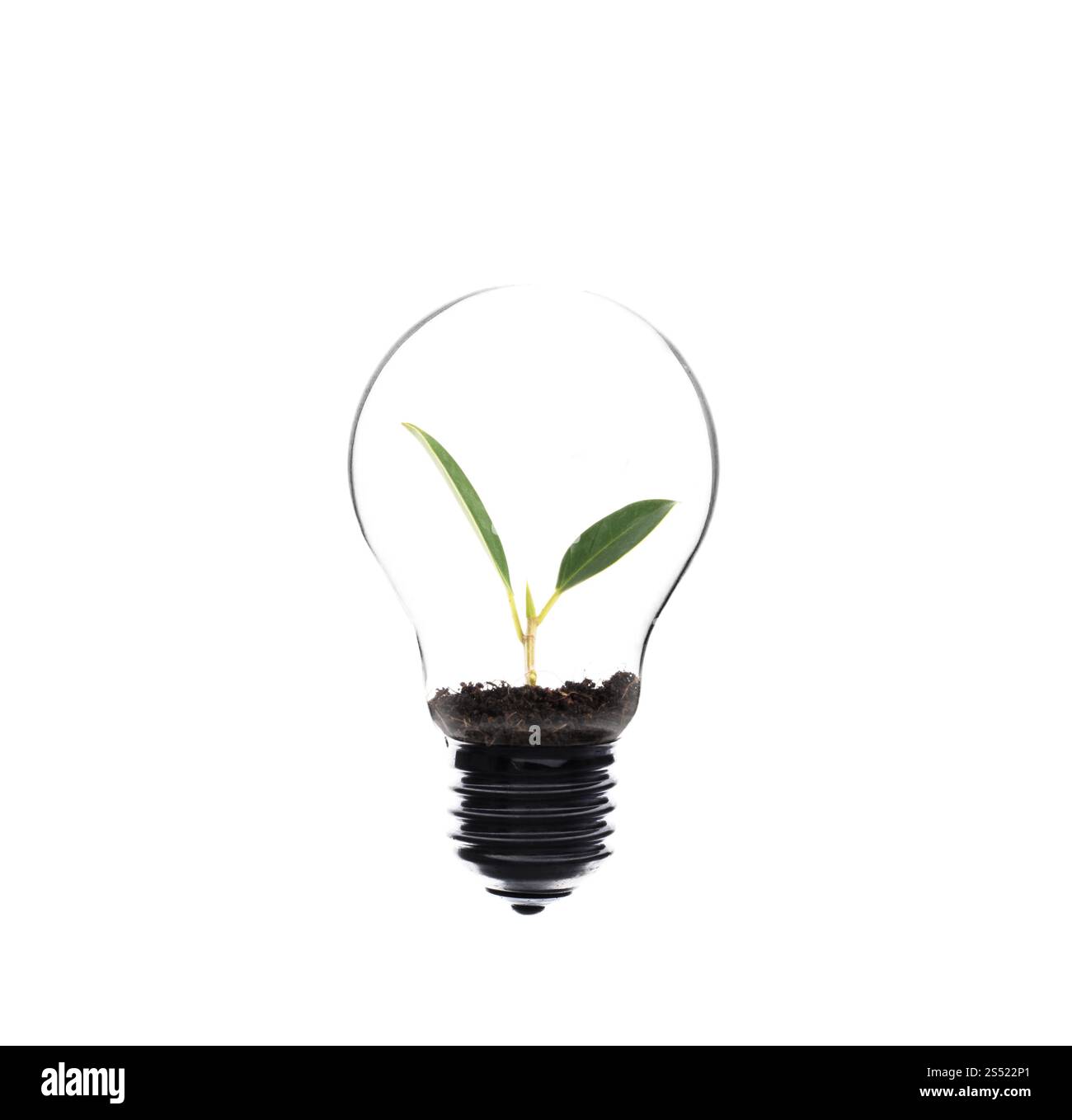 Light bulb, isolated Stock Photo - Alamy