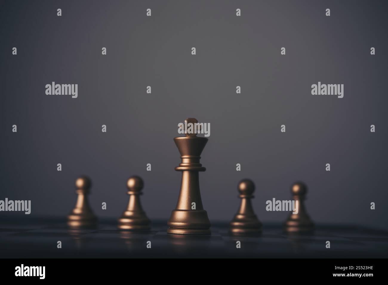 King and Knight of chess setup on dark background . Leader and t. King ...