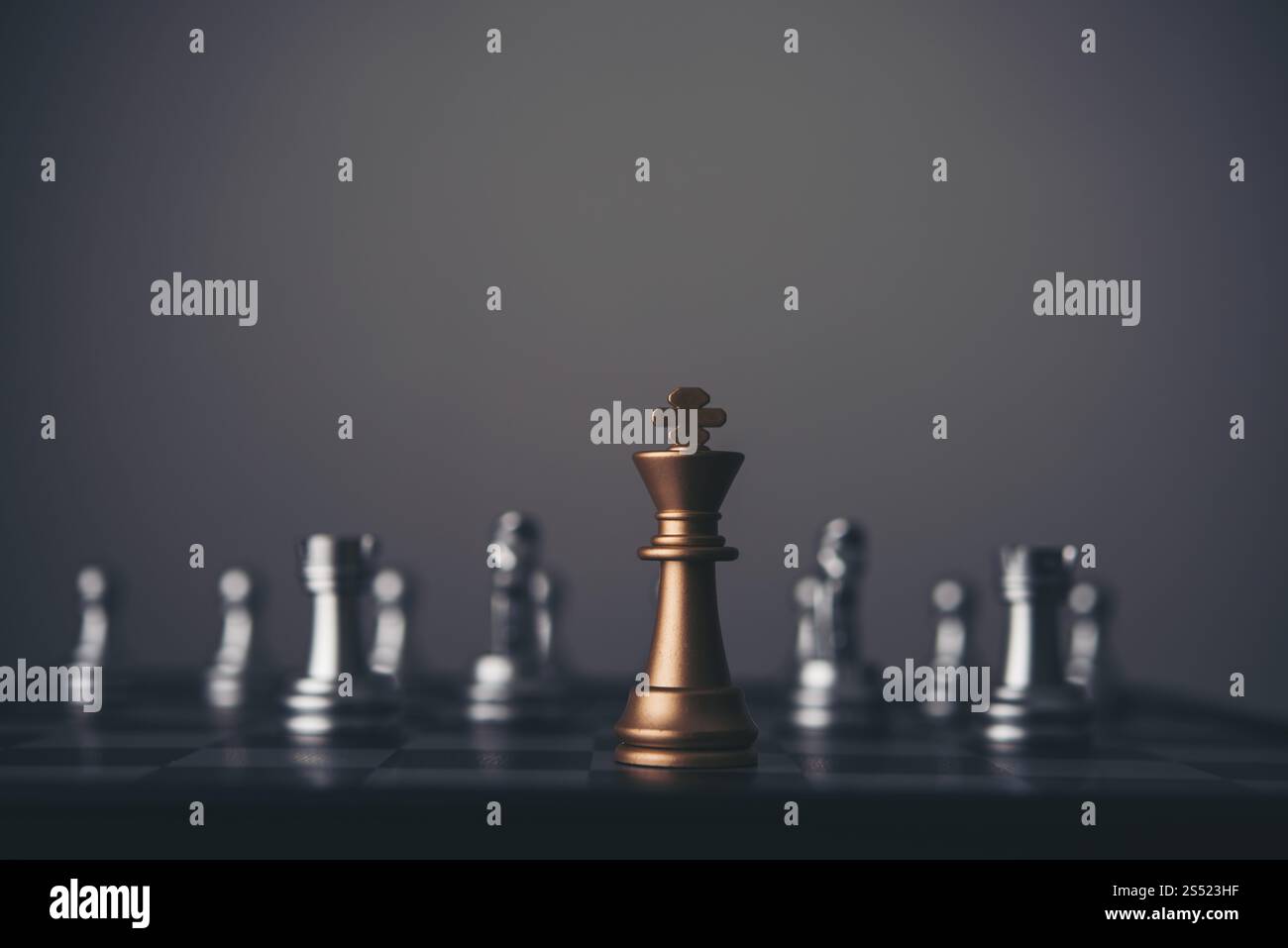 King and Knight of chess setup on dark background . Leader and t. King ...