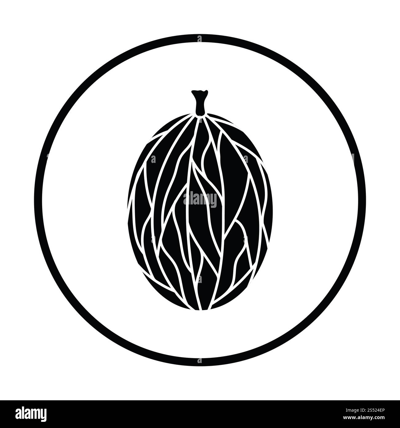 Icon of Gooseberry. Thin circle design. Vector illustration Stock Photo - Alamy
