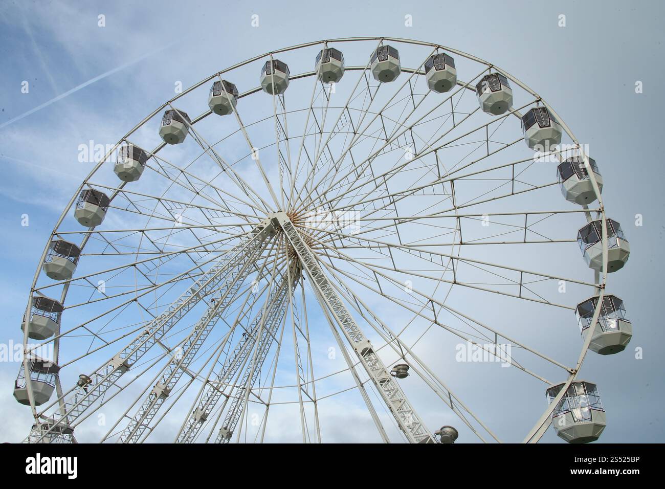 Marlay Park, Dublin, Ireland - 30th December 2024 - Close up view of a ...