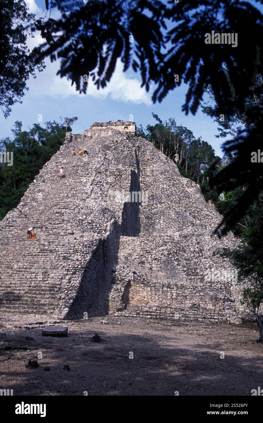 The Maya Ruins with the Nohoch Mul Pyramide of Coba in the Province ...