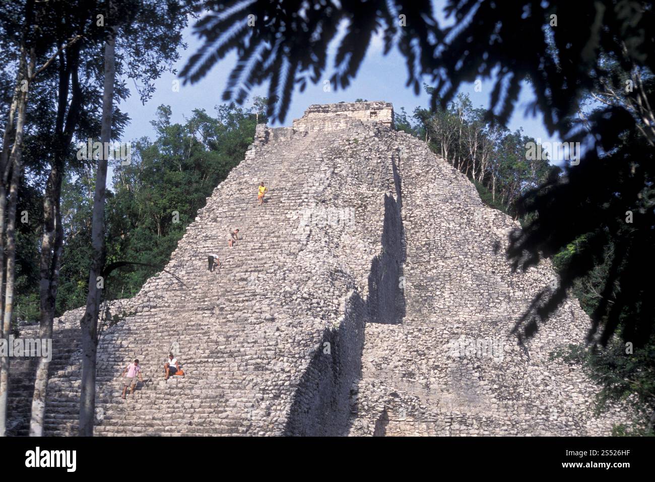 The Maya Ruins with the Nohoch Mul Pyramide of Coba in the Province ...