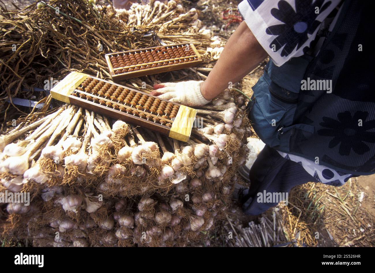 garlic in a shop on a market in the city of Seoul in South Korea in ...