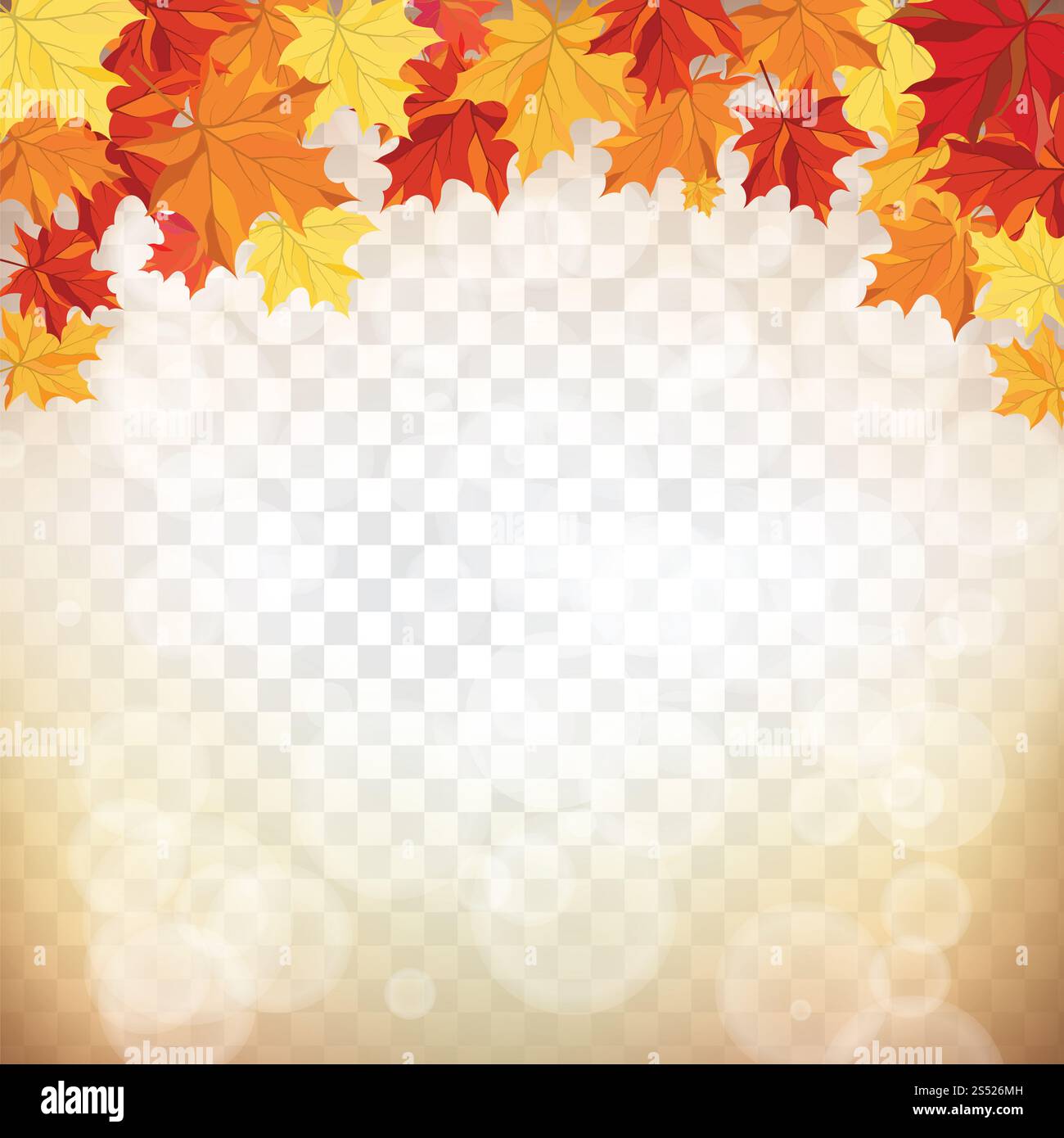 Autumn Frame With Falling Maple Leaves on transparency (alpha) grid ...