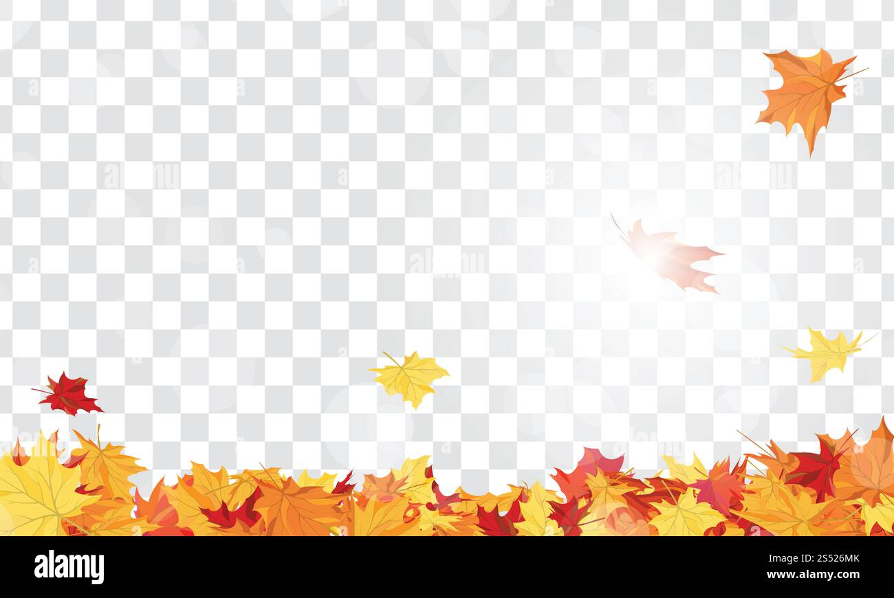 Autumn Frame With Falling Maple Leaves on transparency (alpha) grid ...
