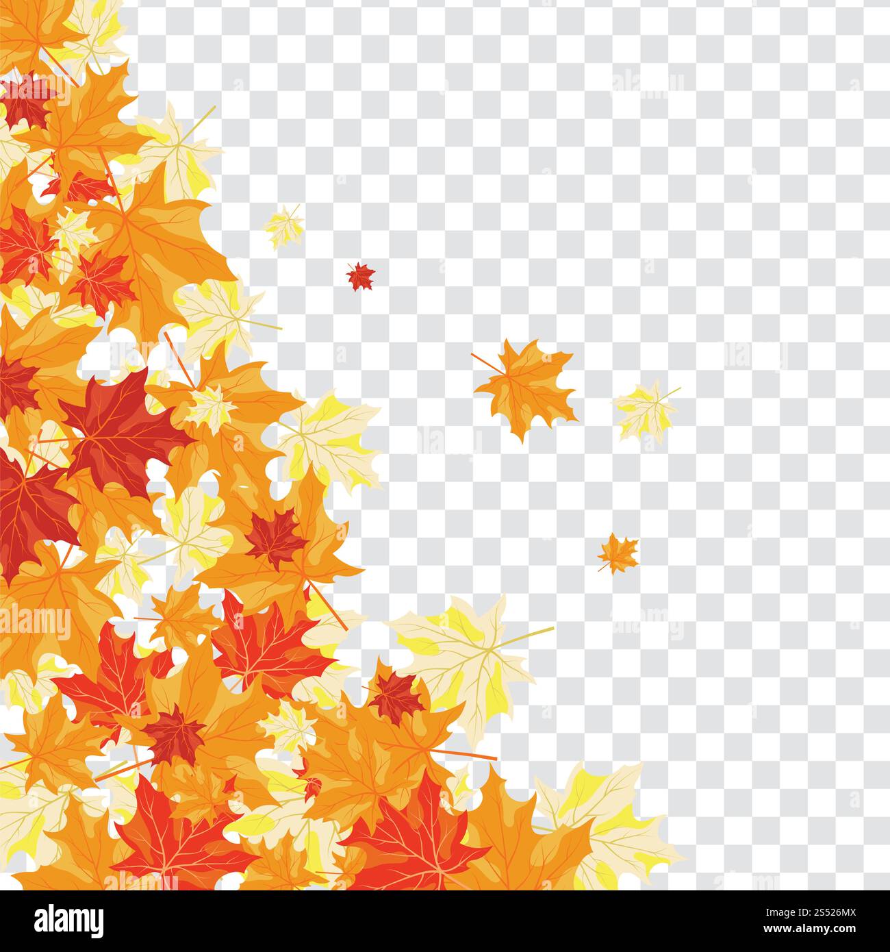 Autumn Frame With Falling Maple Leaves on transparency (alpha) grid ...
