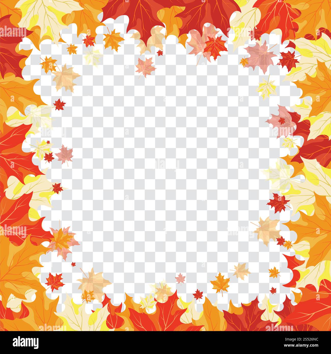 Autumn Frame With Falling Maple Leaves on transparency (alpha) grid ...