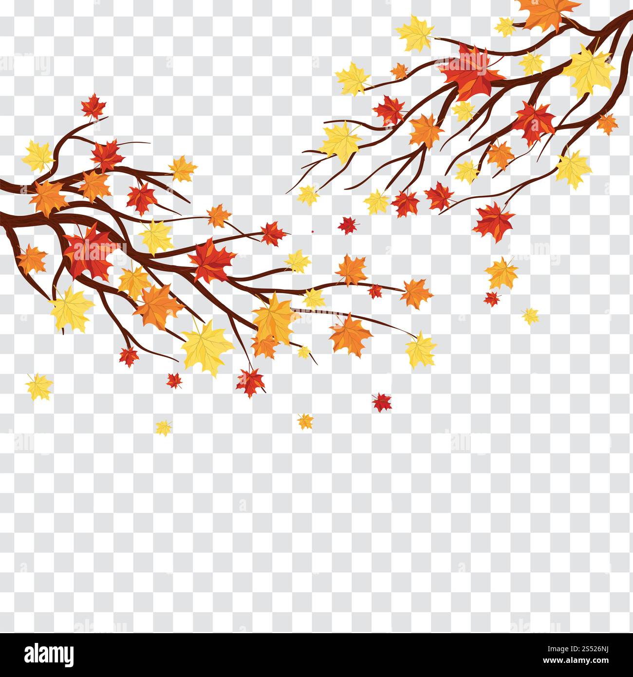 Autumn Frame With Falling Maple Leaves on transparency (alpha) grid ...