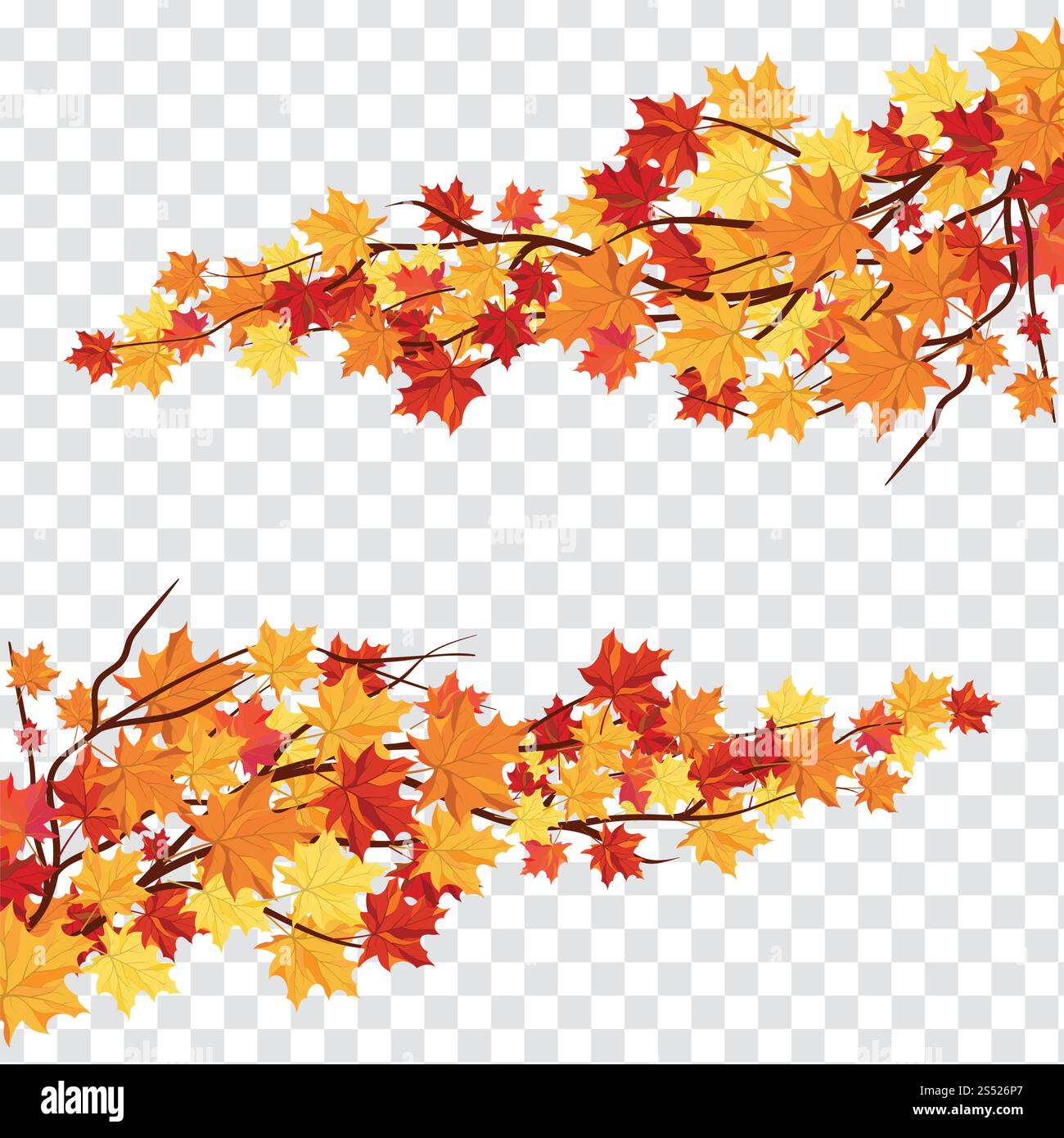 Autumn Frame With Falling Maple Leaves on transparency (alpha) grid ...
