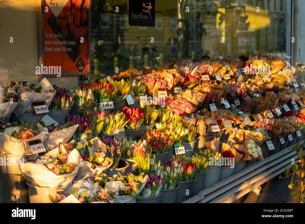 Colorful flower market display in the warm evening light Stock Photo ...