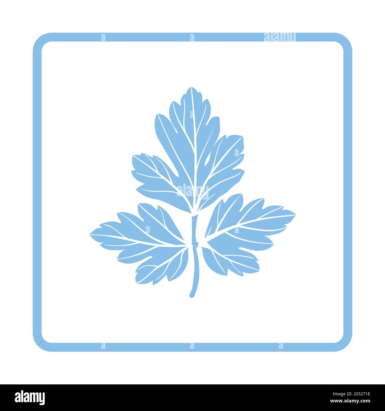 Parsley plant logo vector hi-res stock photography and images - Alamy