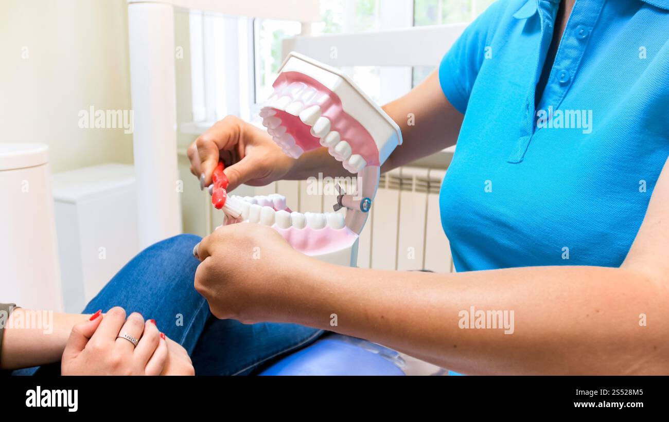 Closeup photo of female dentist showing how to properly use toothbrush ...