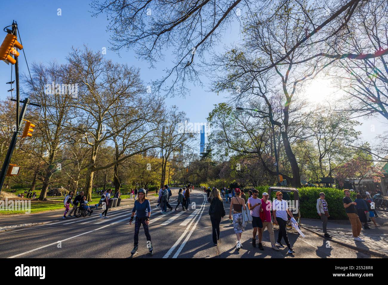 Crowded Central Park path with people walking, rollerblading and ...