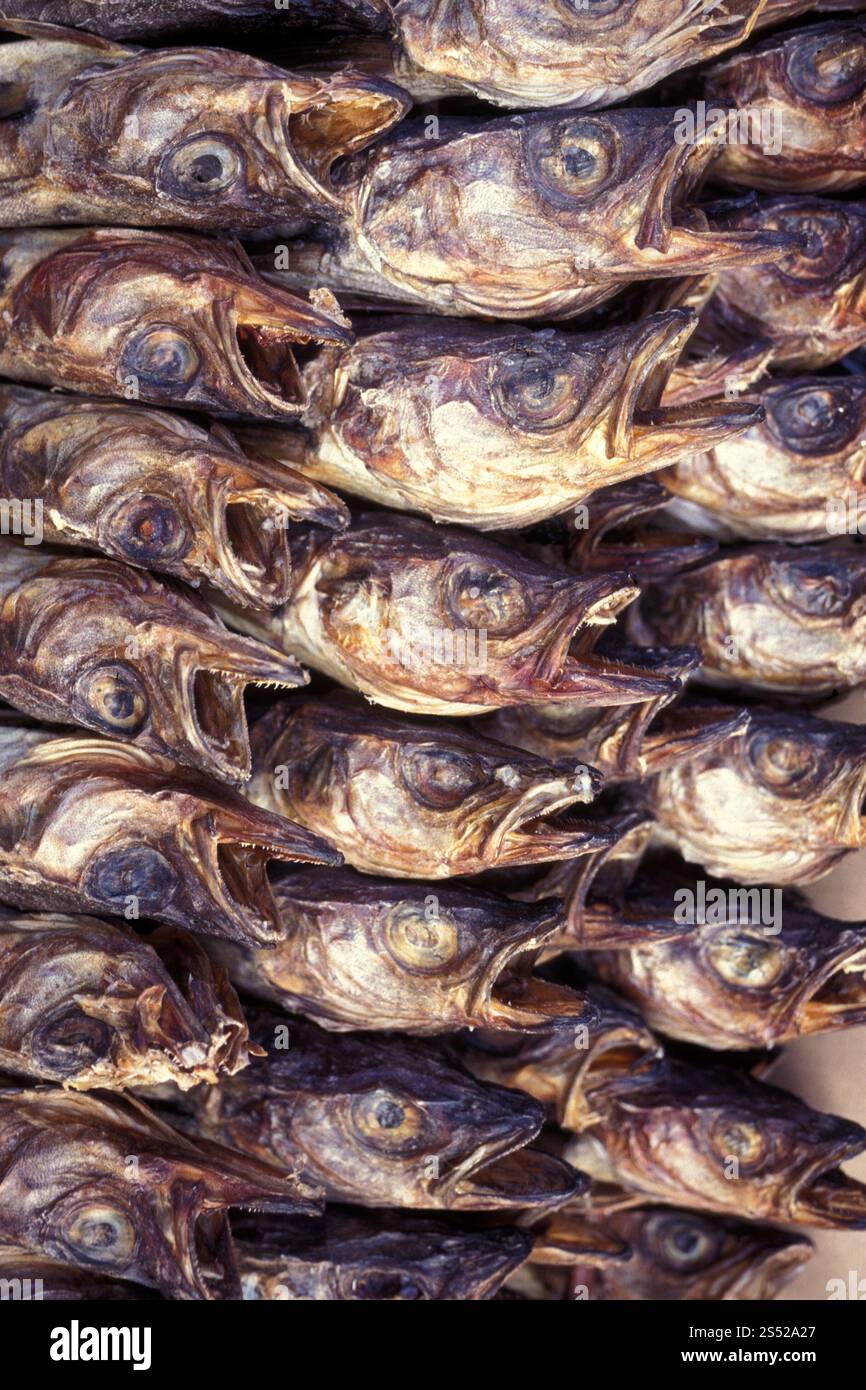 dry fish at a fishmarket on a foodmarket market in the city of Seoul in ...