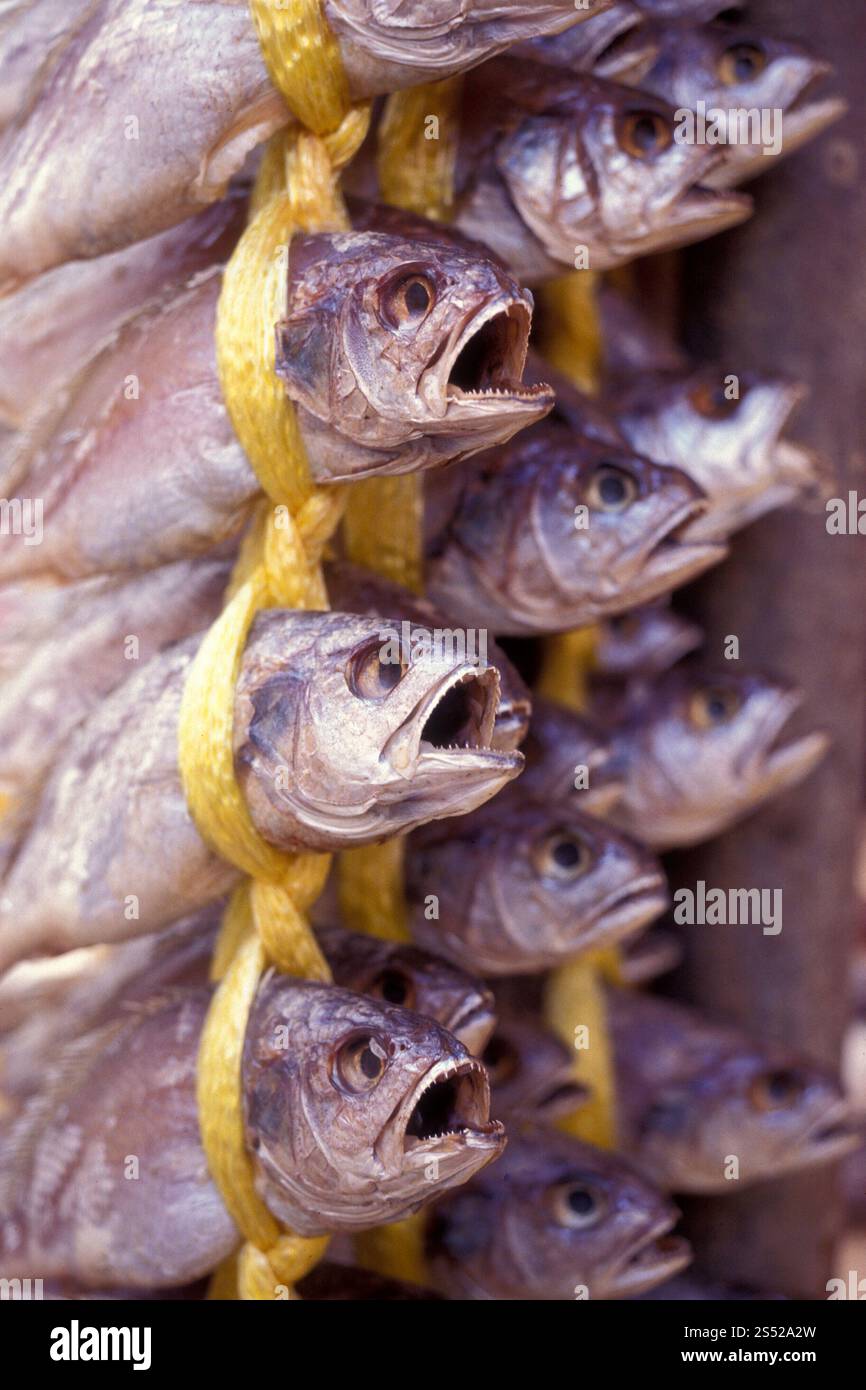 fresh fish at a fishmarket on a foodmarket market in the city of Seoul ...