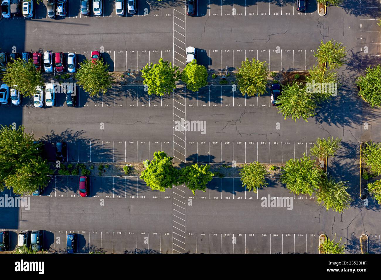 Aerial View of a Parking Lot with Vehicles and Surrounding Greenery ...