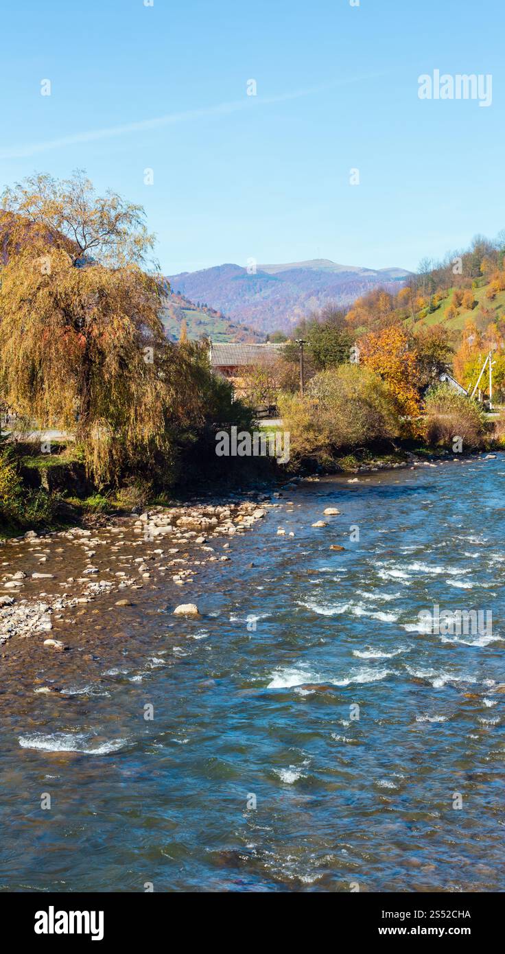 Autumn Carpathian mountain White Tysa river landscape with multicolored ...
