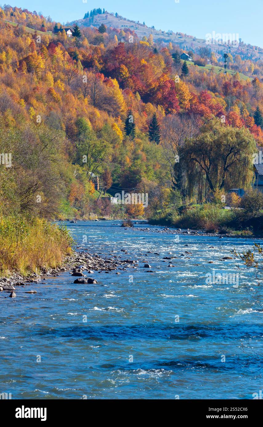 Autumn Carpathian mountain White Tysa river landscape with multicolored ...