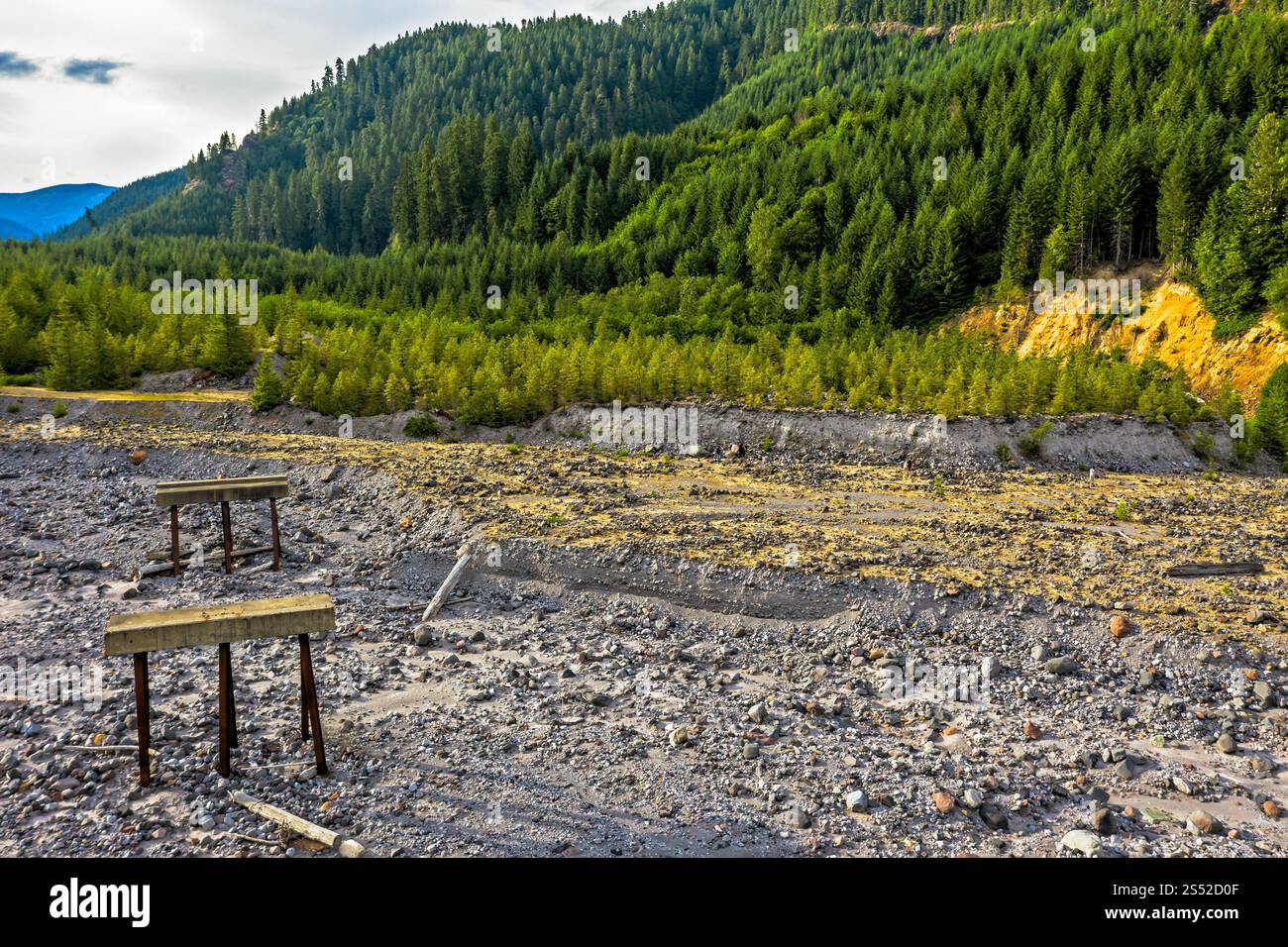 Abandoned Bridge Landscape with Rocky Terrain and Densely Forested ...