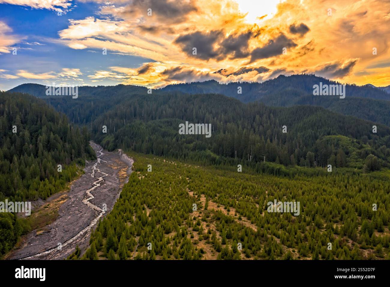 Aerial View of Serene Forest Valley and Winding River at Sunrise ...