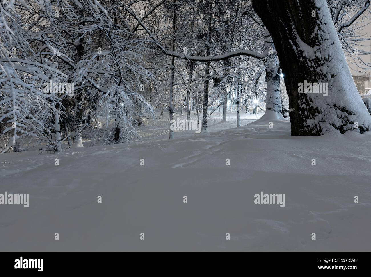 Beautiful night winter Ivan Franko park in the center of Lviv city ...