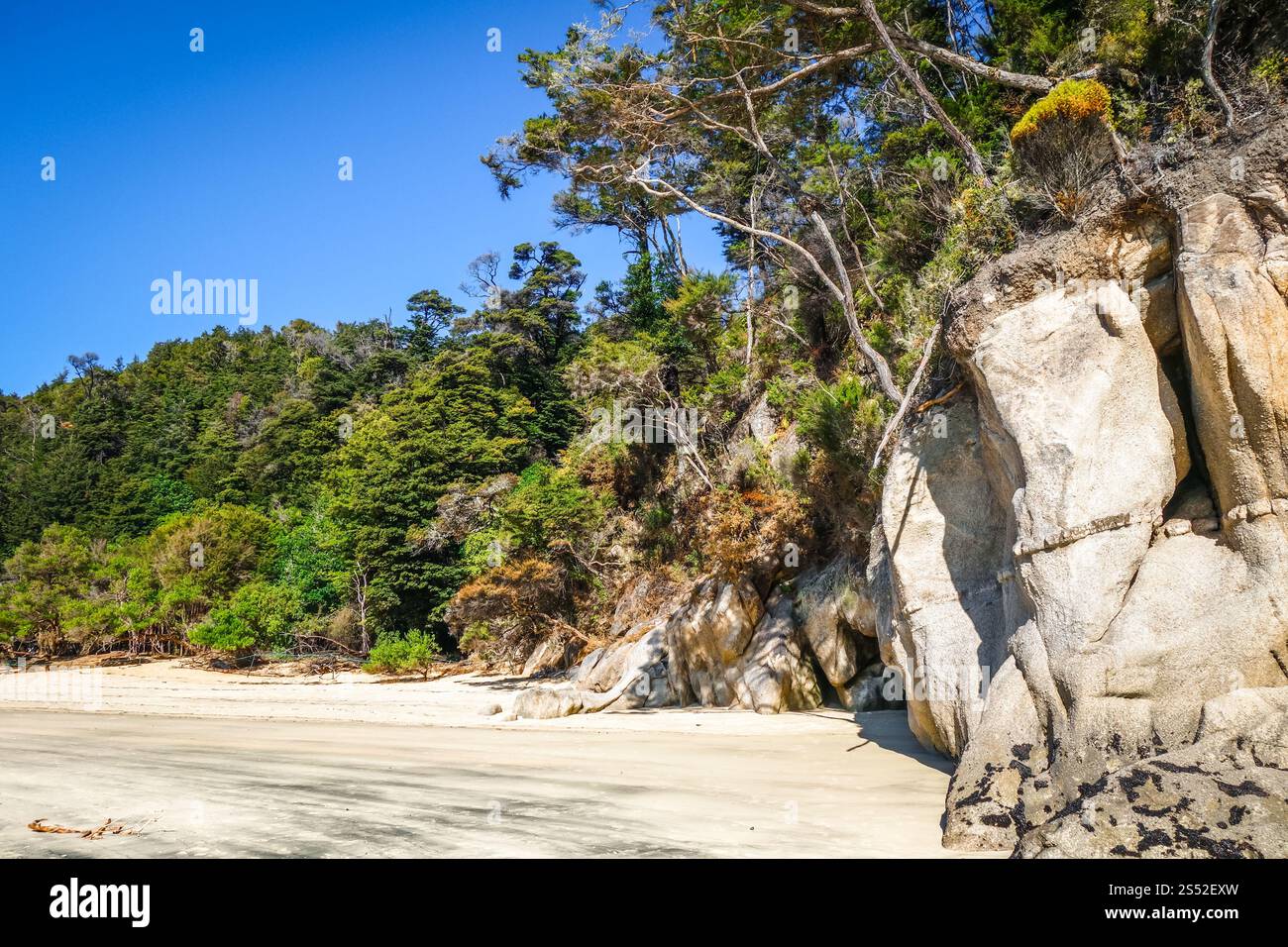 Abel Tasman National Park. Creek and sand beach. New Zealand. Creek in Abel Tasman National Park ...