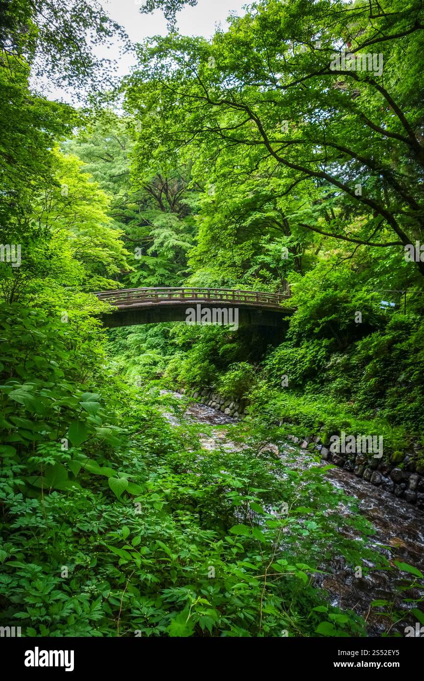 Traditional japanese wooden bridge in botanical garden, Nikko, Japan. Traditional japanese ...