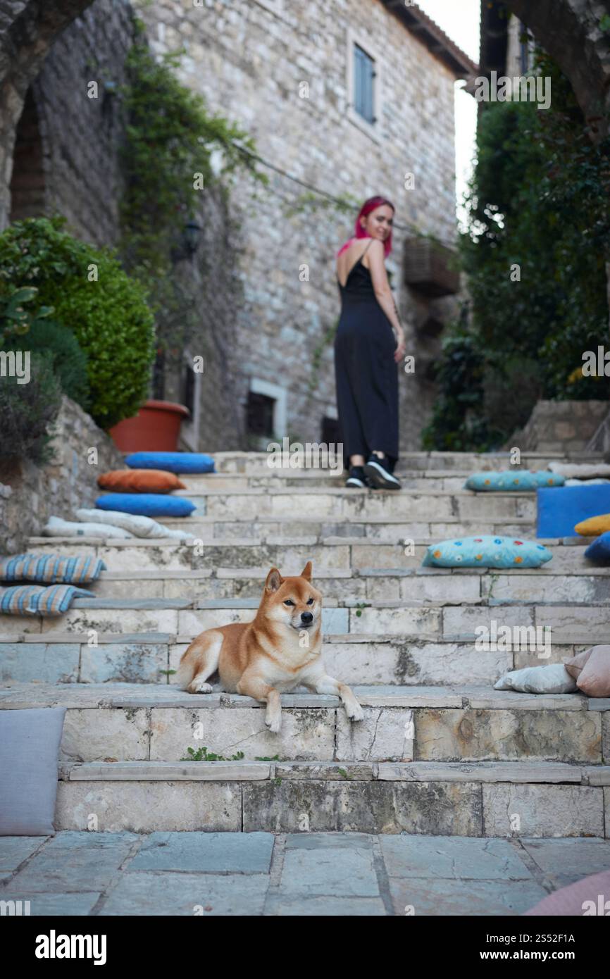A Shiba Inu and a person relax together on colorful cushions on a stone ...
