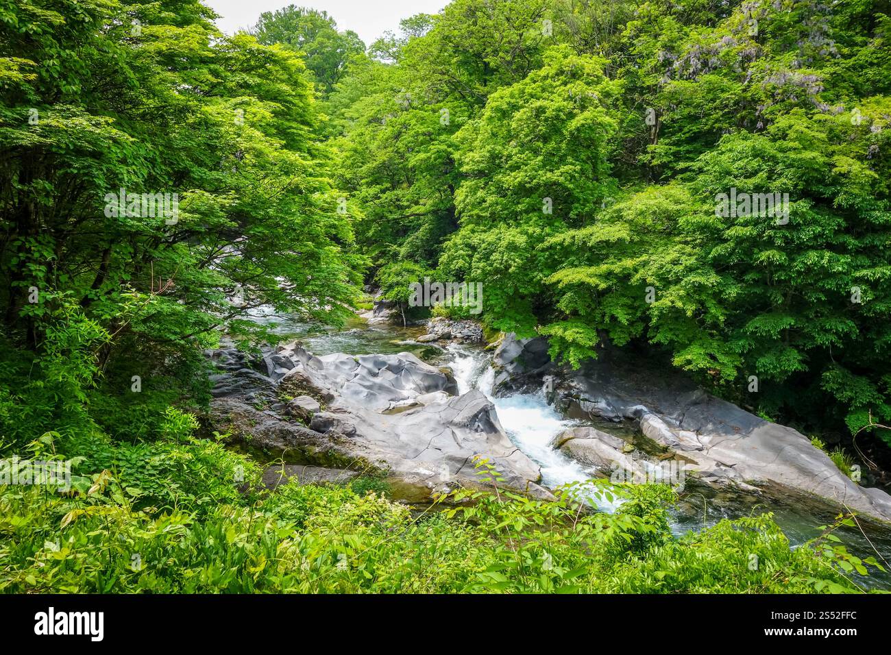 Kanmangafuchi abyss site on Daiyagawa river, Nikko, Japan ...