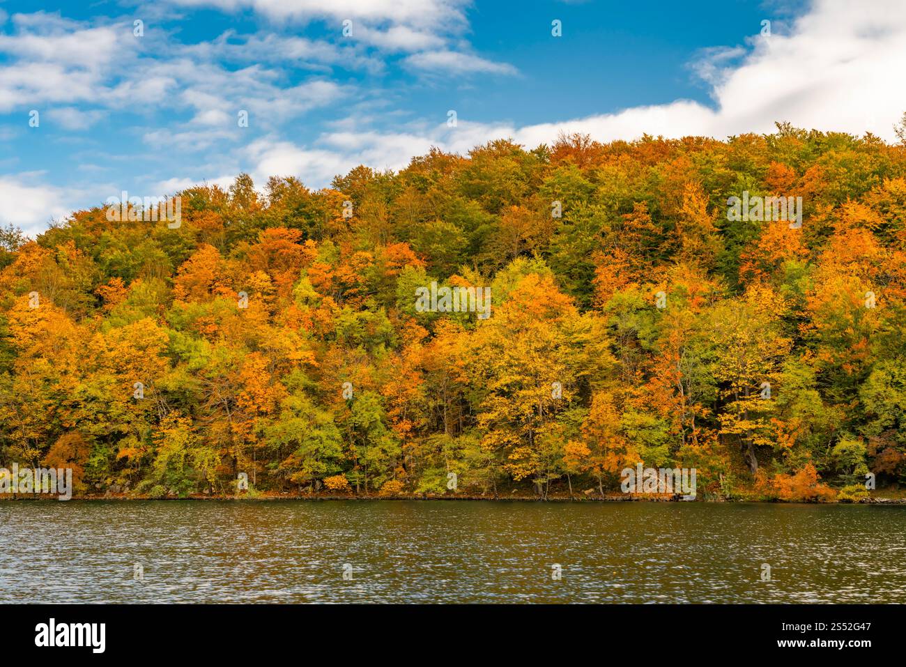 Fall foliage color in Plitvice Lakes National Park, Croatia, Europe ...