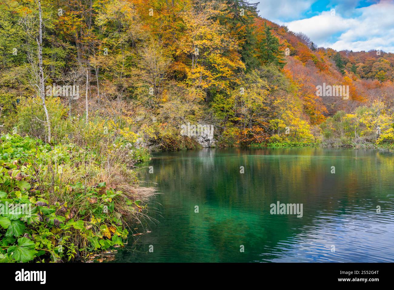 Fall foliage color in Plitvice National Park, Croatia, Europe Stock ...