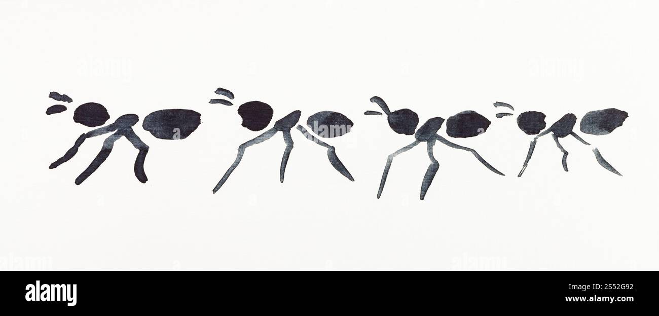 hand painting in sumi-e style on cream paper - several ants drawn by ...
