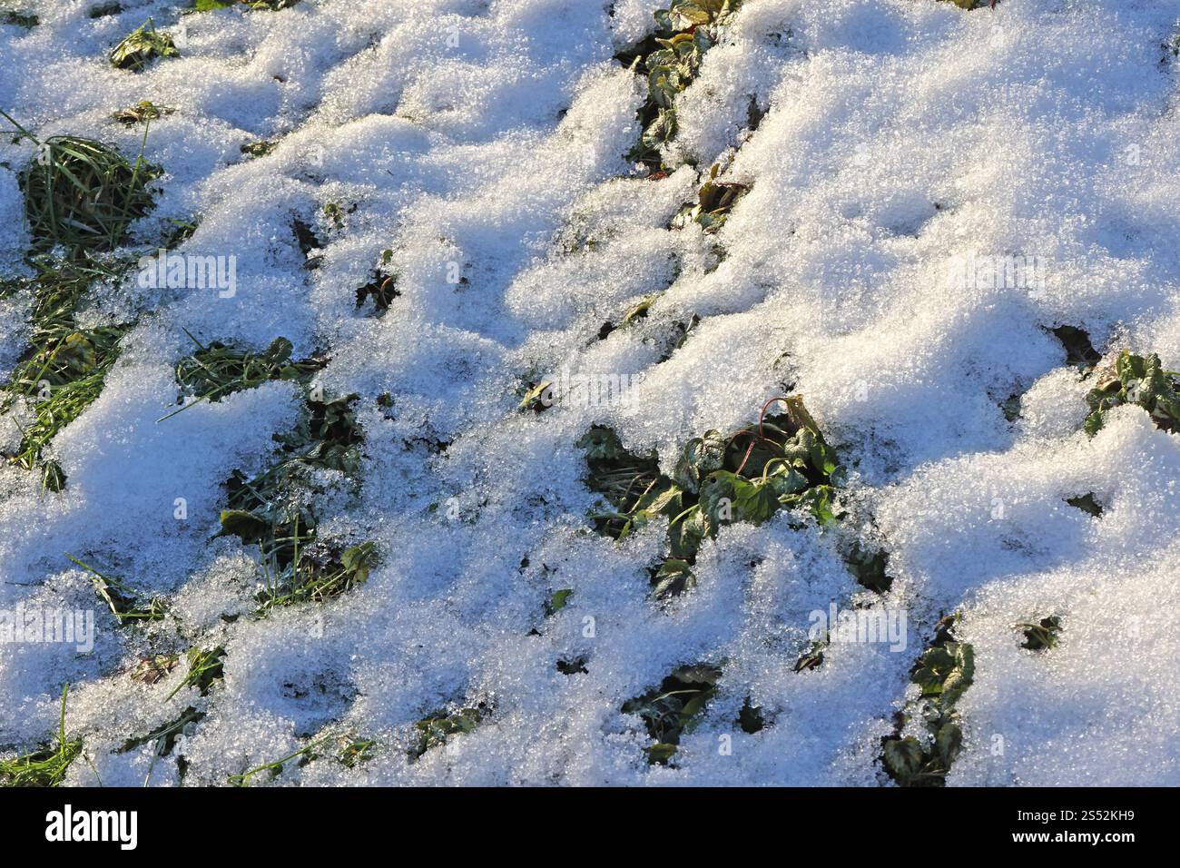 Schneeschmelze bei milden Temperaturen Schneereste liegen während der ...