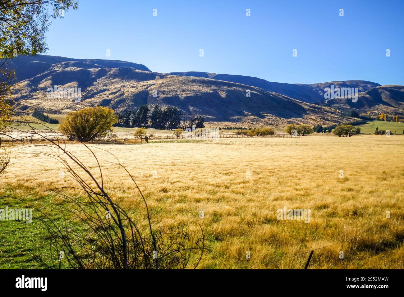 Mountain fields landscape in New Zealand alps. Mountain fields ...