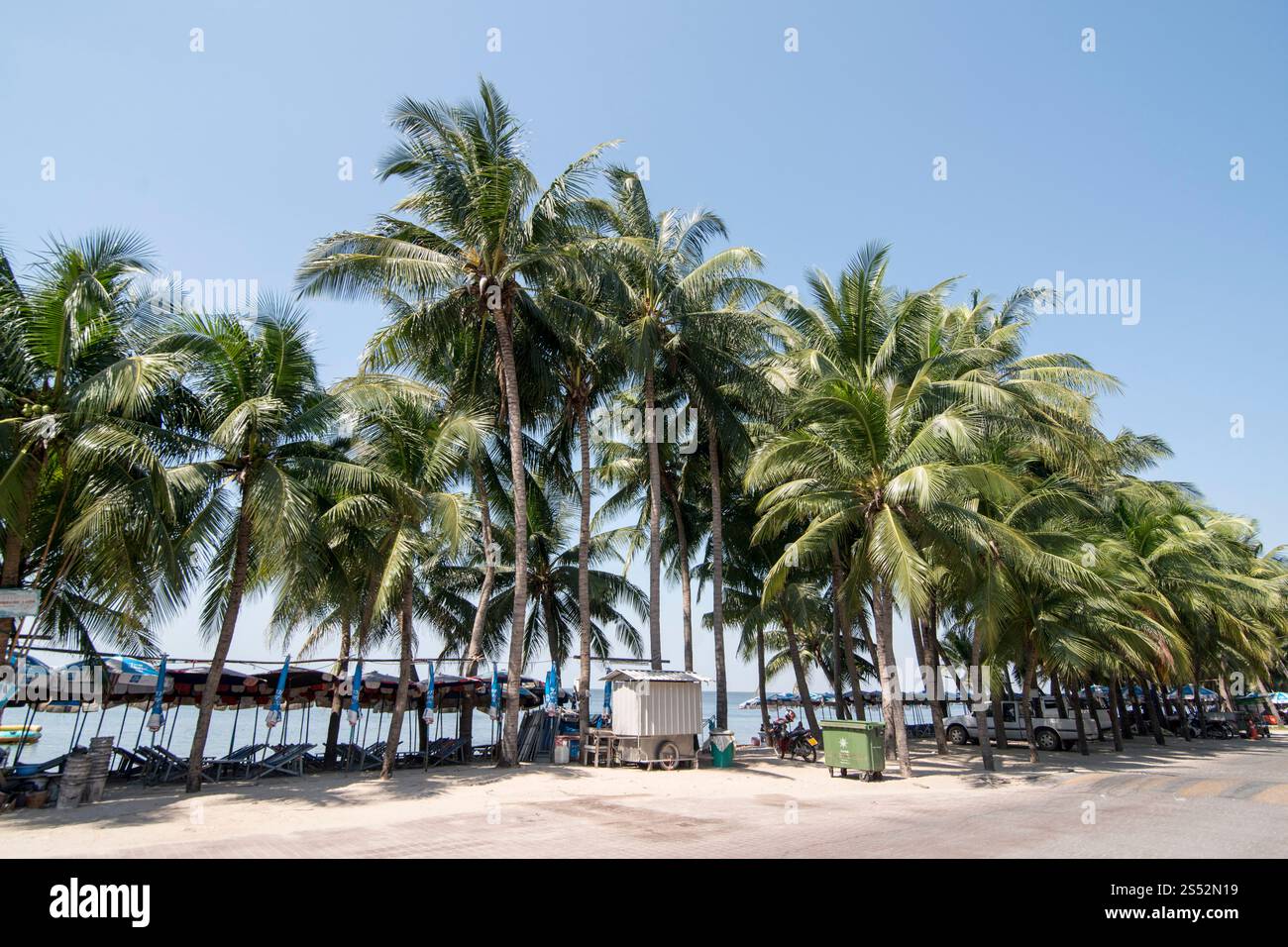 the Bang Saen Beach at the Town of Bangsaen in the Provinz Chonburi in ...