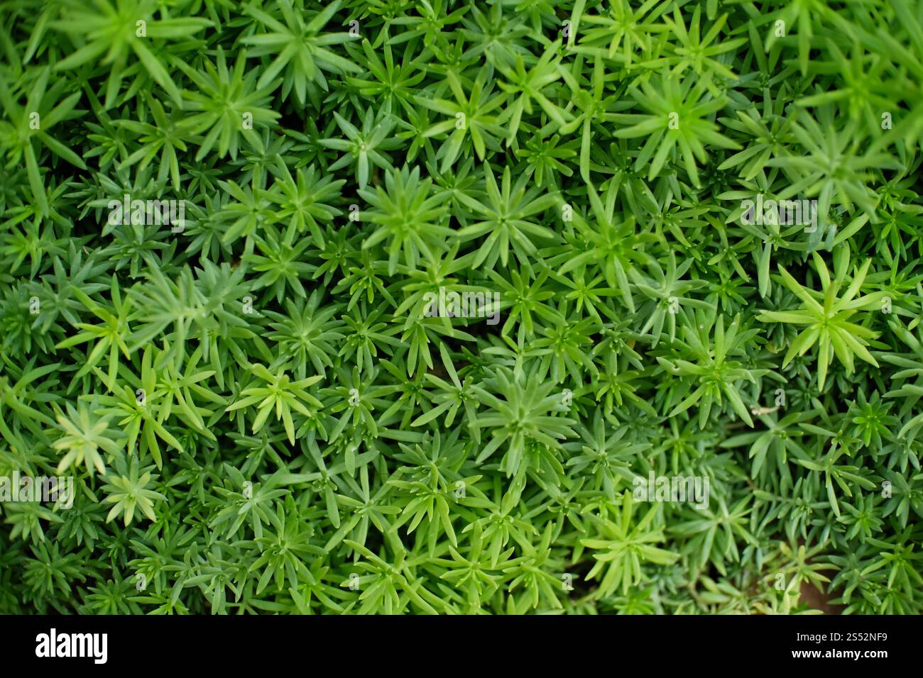 Beautiful empty landscape background hi-res stock photography and ...