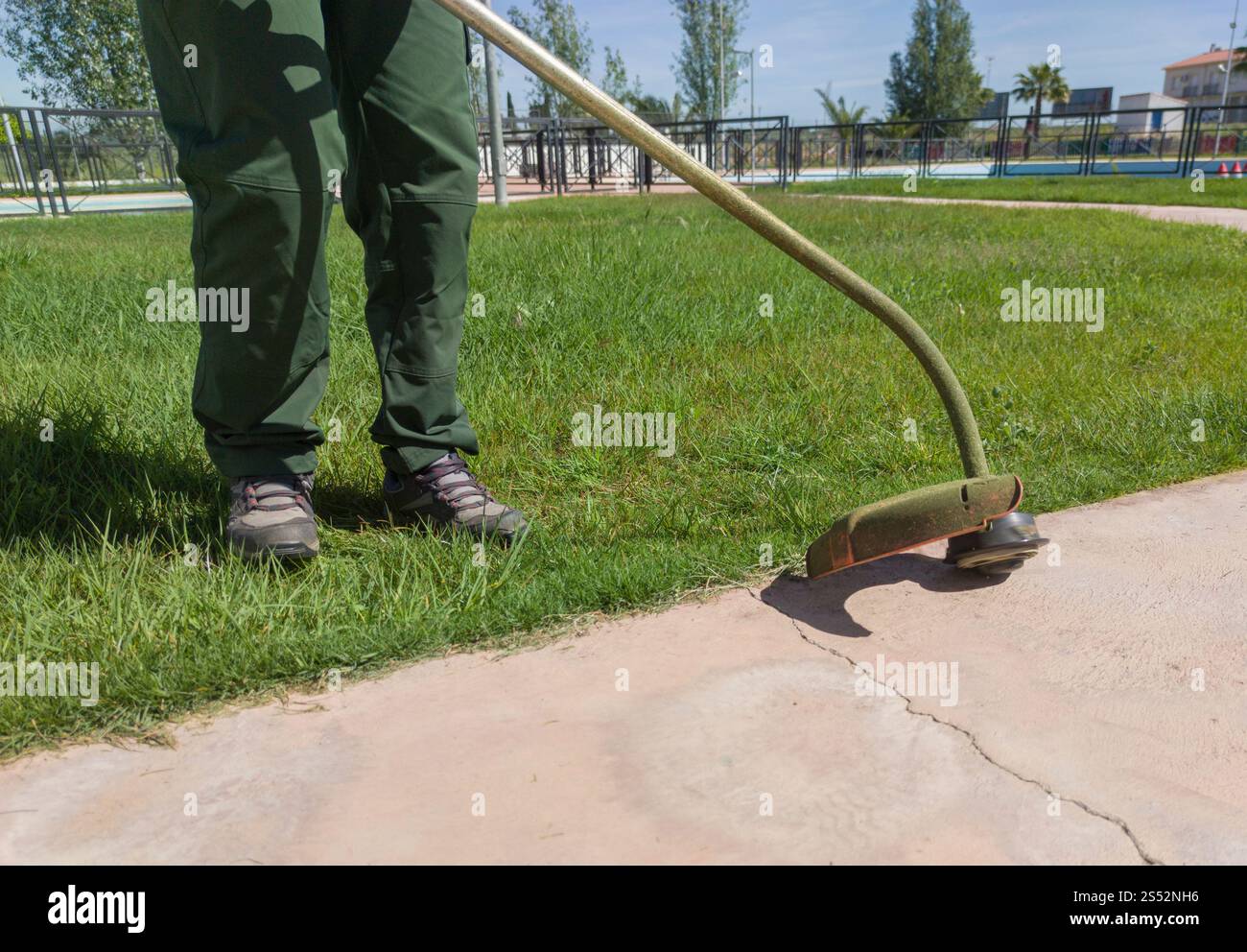 Lawn-edge trimming. Manual tools for lawn maintenance activities Stock ...
