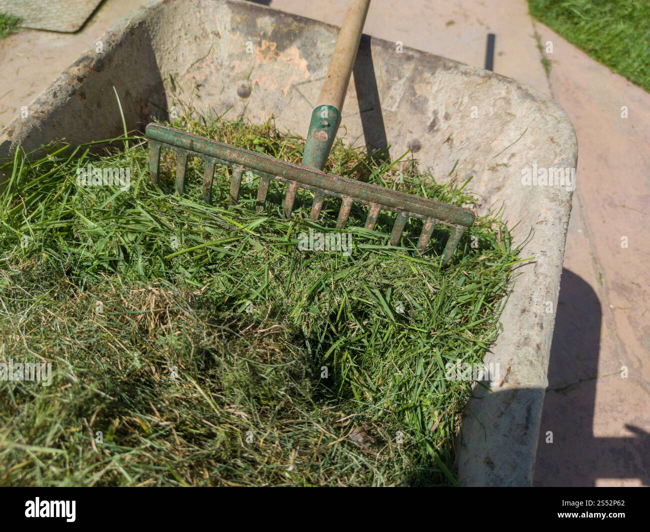 Wheelbarrow full of grass cuttings. Manual tools for lawn maintenance ...