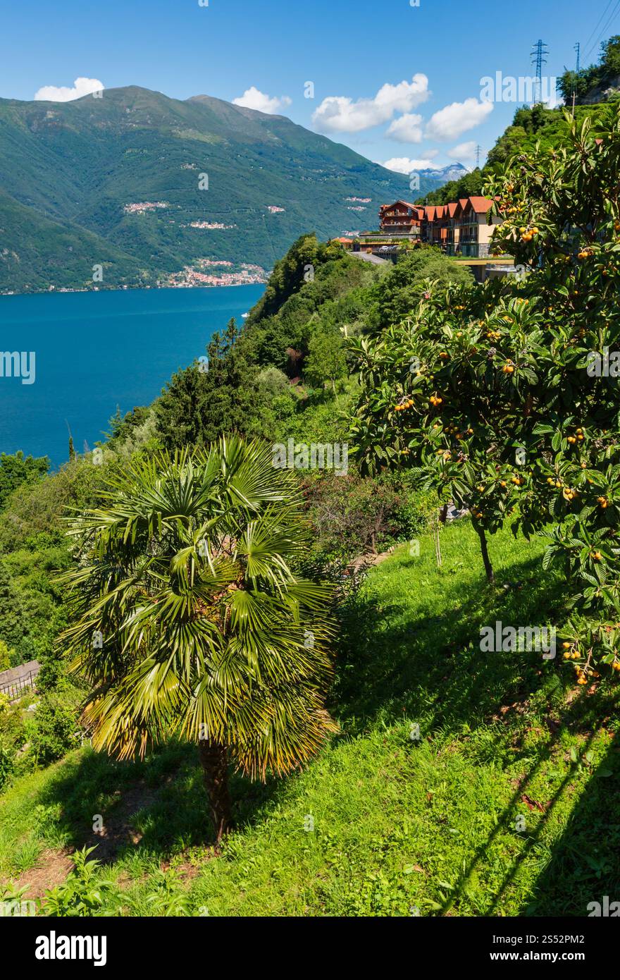 Alpine Lake Como summer view from shore (Italy Stock Photo - Alamy