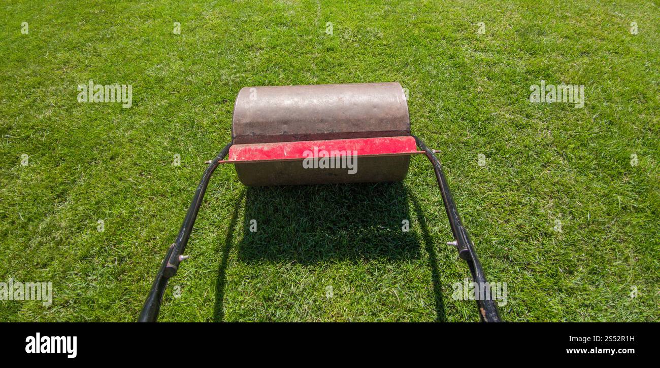 Lawn Roller in action. Manual tools for lawn maintenance activities ...