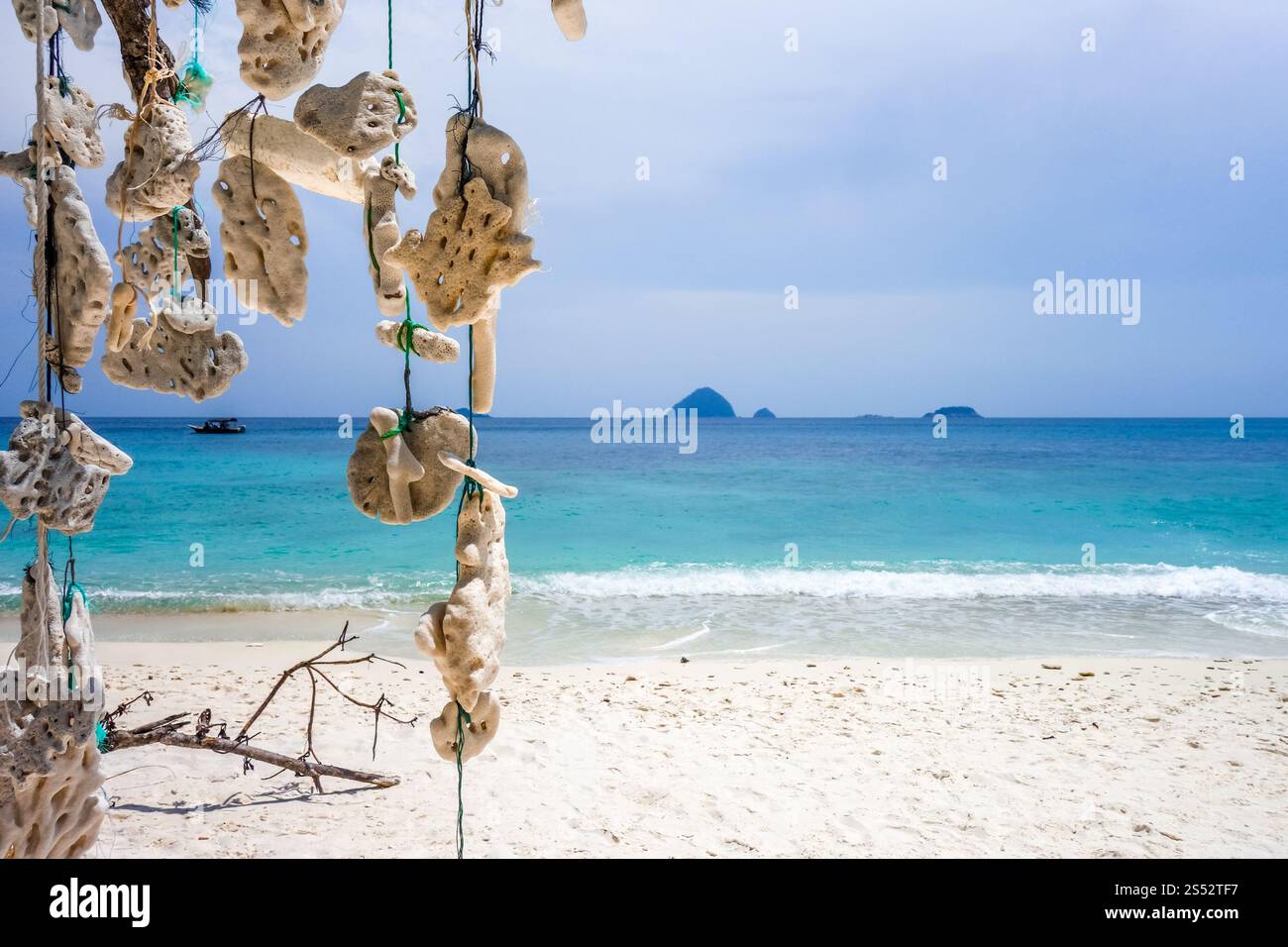 Hanging coral on romantic beach, Perhentian Islands, Terengganu ...