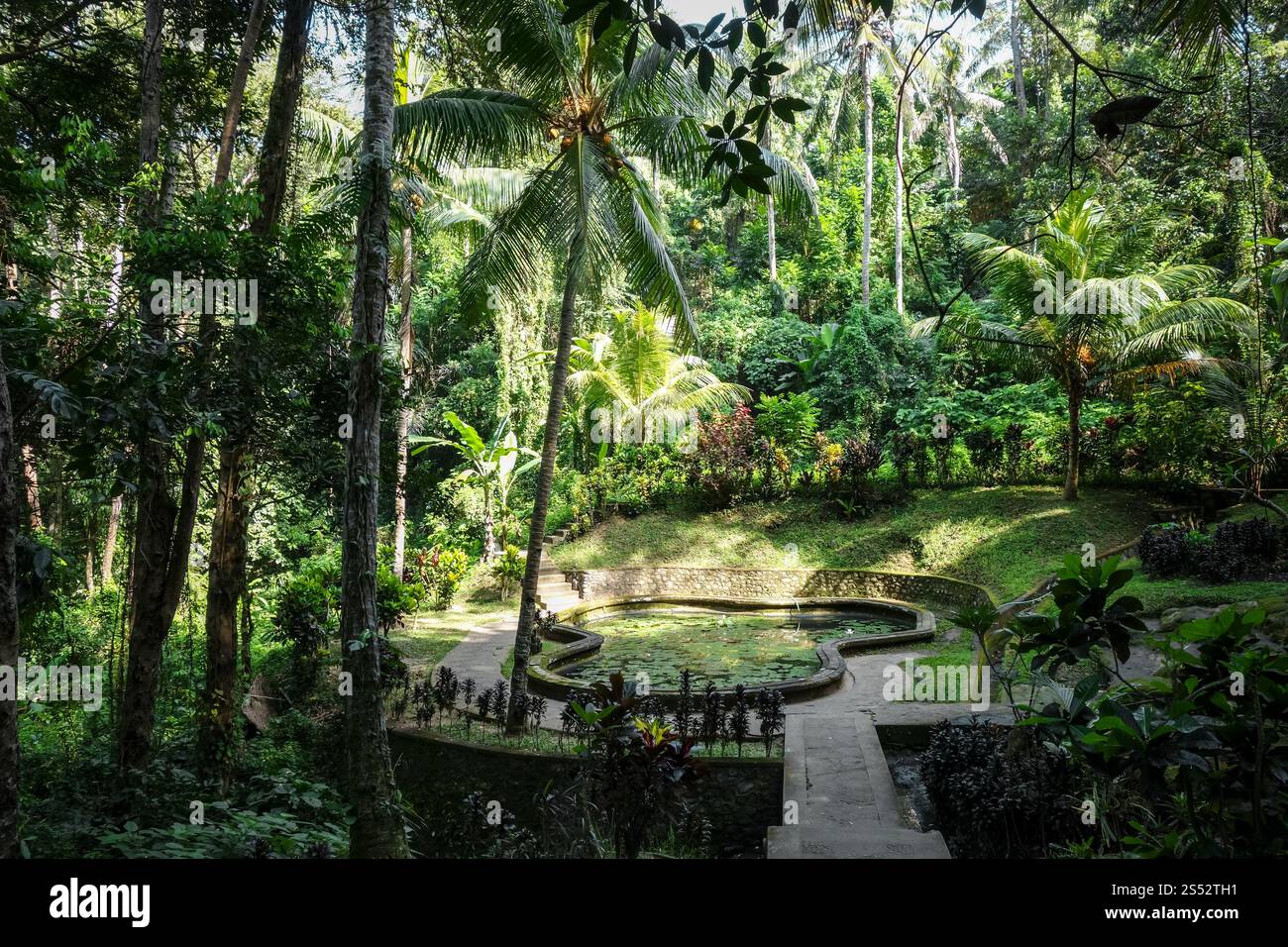 Pond and jungle in Goa Gajah elephant cave temple, Bedulu, Ubud, Bali ...