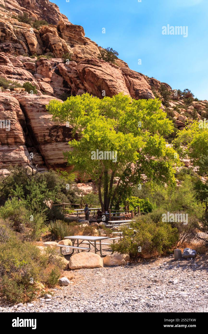 Red Rock Canyon National Conservation Area in Nevada is located about ...