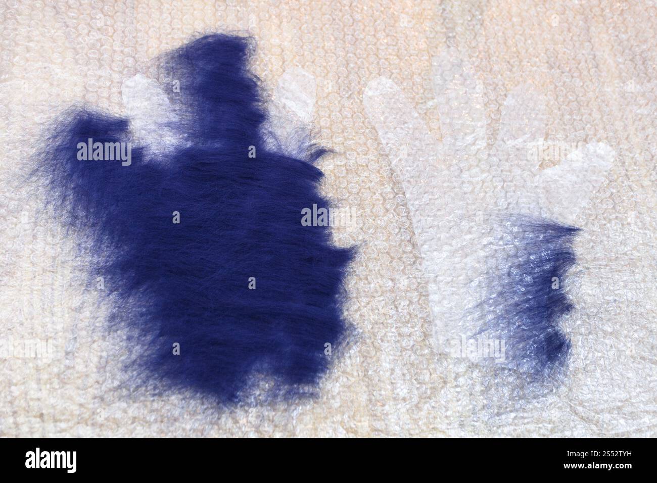 workshop of hand making a fleece gloves from blue Merino sheep wool ...
