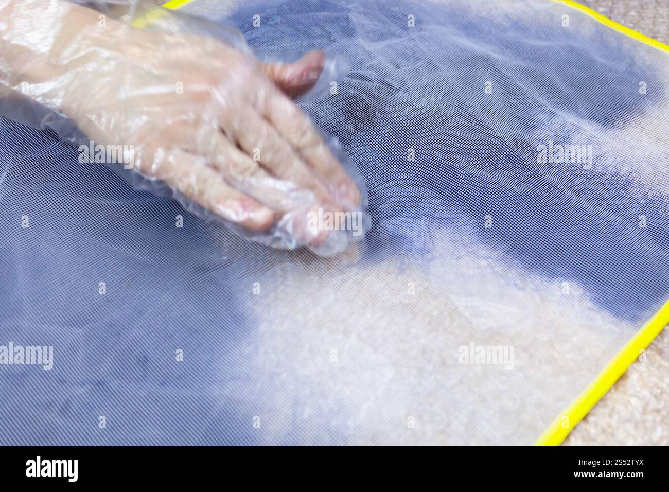 workshop of hand making a fleece gloves from blue Merino sheep wool ...